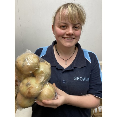BROWN ONIONS 1.3KG Bag Pukekohe Grown